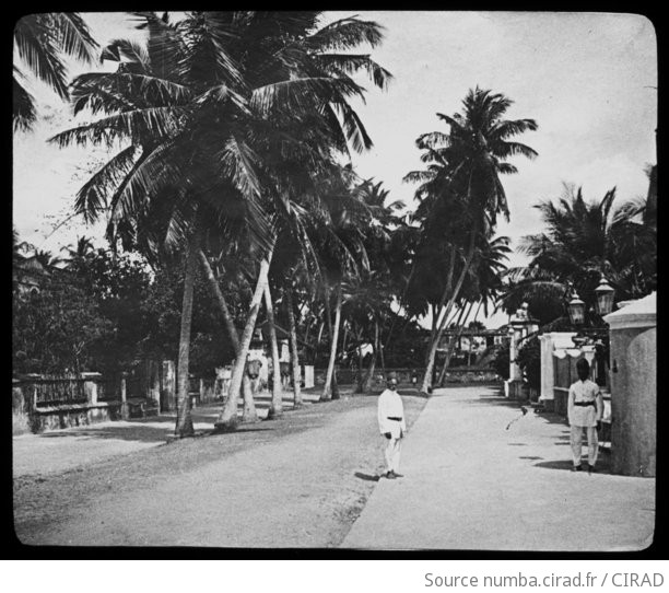 Etablissements français dans l'Inde : une rue de la ville de Yanaon ...
