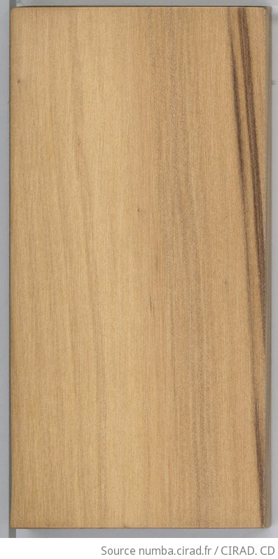 Collection de bois de la Xylothèque du Cirad. Bois de Nouvelle ...